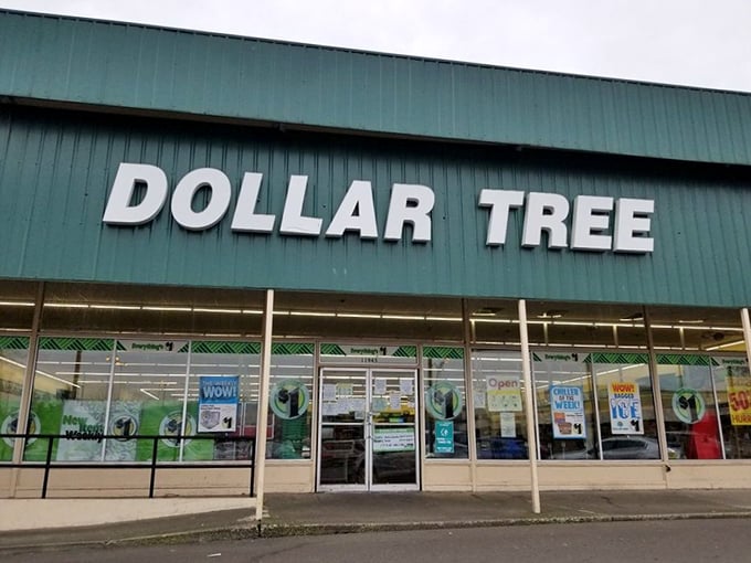 Like discovering a retail diamond hiding in plain sight, this Dollar Tree's impressive facade promises adventures in affordable abundance.