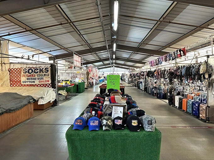 Long aisles of treasures stretch before you like the yellow brick road of bargain hunting. Every hat, sock, and suitcase has a story waiting to be discovered.