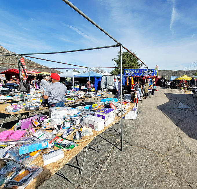 Blue skies and bargains stretch as far as the eye can see. Winchester's treasure hunters navigate this asphalt wonderland like seasoned explorers.