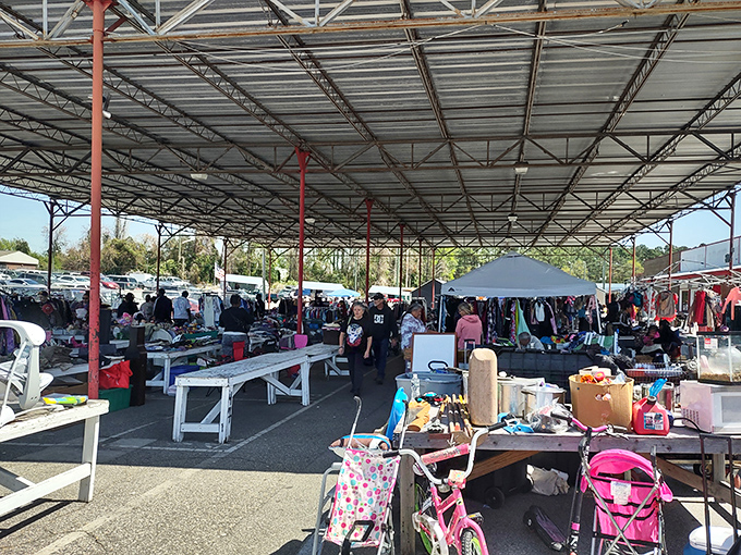 The treasure hunt begins! Fayetteville's sprawling covered marketplace buzzes with weekend warriors searching for that perfect find.