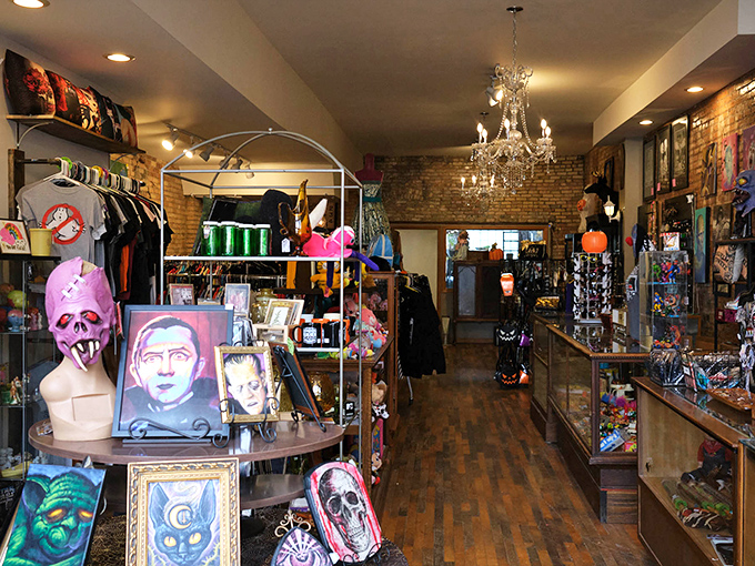 Where vintage meets vortex! The interior of Thrift Witch showcases its magical blend of curated oddities, with exposed brick walls, elegant chandelier, and display cases filled with treasures waiting to be discovered.