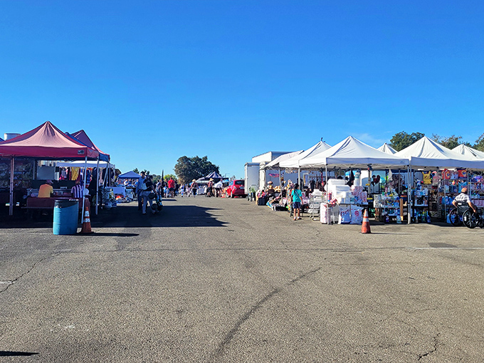 Rows of colorful tents stretch toward the horizon under perfect California blue skies&mdash;the universal language of "bargains ahead" needs no translation.