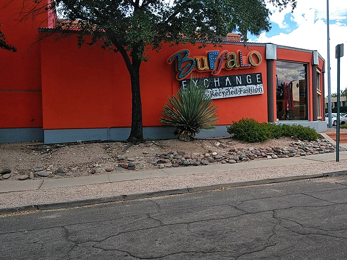 The unmistakable terracotta-orange exterior of Buffalo Exchange stands out like a fashion oasis in the Tucson desert landscape.