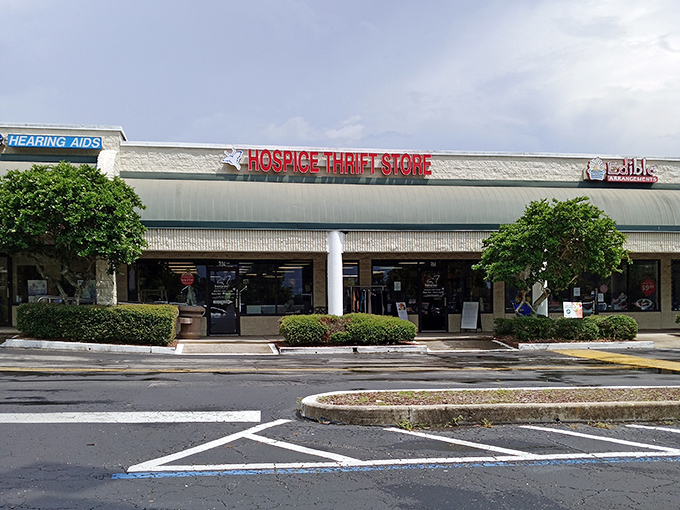 The unassuming storefront of Hospice Thrift Store in Ocala's Paddock Park Shops hides a treasure trove of bargains waiting to be discovered.