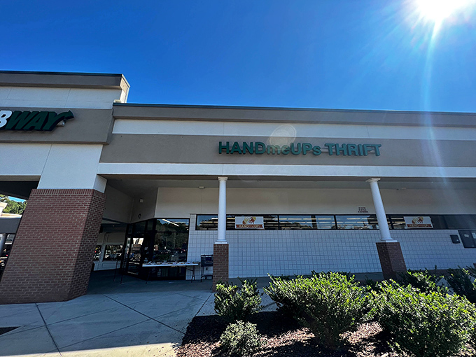 The unassuming storefront hides a treasure trove within. Like finding an unmarked speakeasy, the thrill is in knowing what awaits behind those doors.