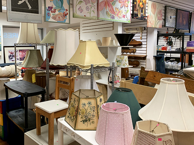 A forest of lampshades awaits new homes at Care & Share. From elegant cream to whimsical floral patterns, your perfect lighting match is hiding somewhere in this illuminating collection. 