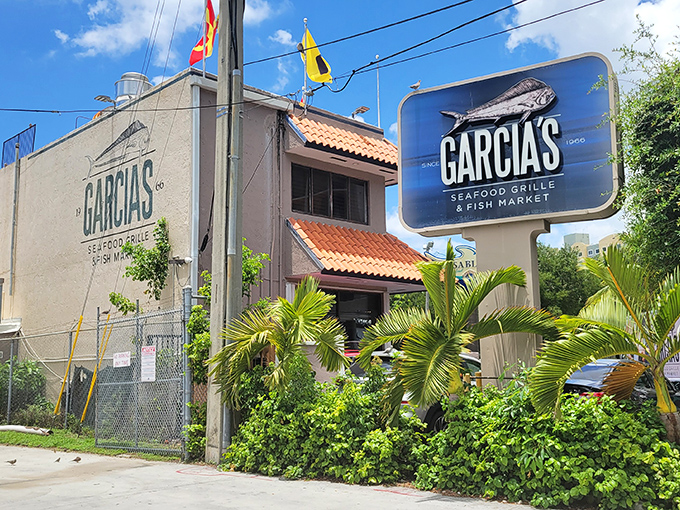 The unassuming exterior of Garcia's hides Miami's seafood treasure like a pearl in an oyster &ndash; no glitz needed when the fish speaks for itself.