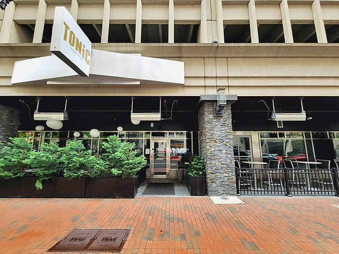 That golden sign promises liquid remedies, but the real medicine at Tonic comes from their perfectly seared steaks and fresh seafood offerings.