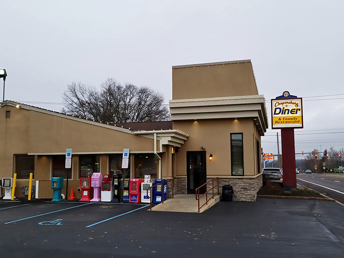 Sometimes the best meals come from places that look like they've been feeding locals since disco was dangerous.