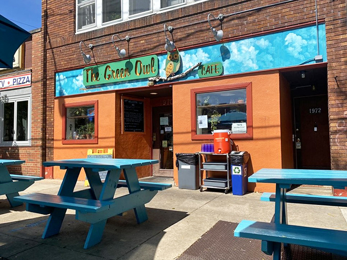 The Green Owl's vibrant orange facade and turquoise picnic tables aren't just eye-catching—they're Madison's way of saying "extraordinary food happens here."