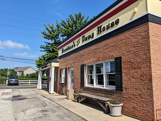 Scooter's bold signage promises what lies within&mdash;a temple of tubular meat worship under the Ohio sky.