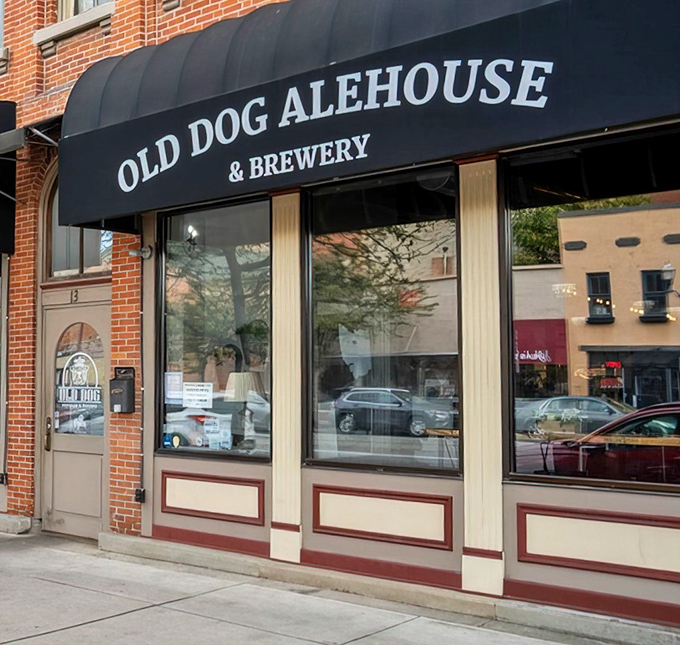 The brick facade of Old Dog Alehouse & Brewery stands like a culinary lighthouse in downtown Delaware, beckoning hungry travelers with promises of craft beer and comfort food.