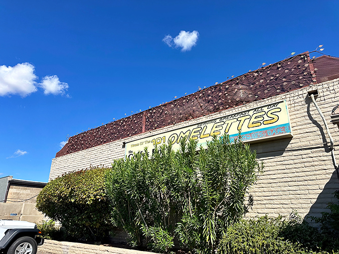 The unassuming exterior promises little, delivers everything. Like finding a Michelin star in your neighbor's garage – but with 101 omelets.