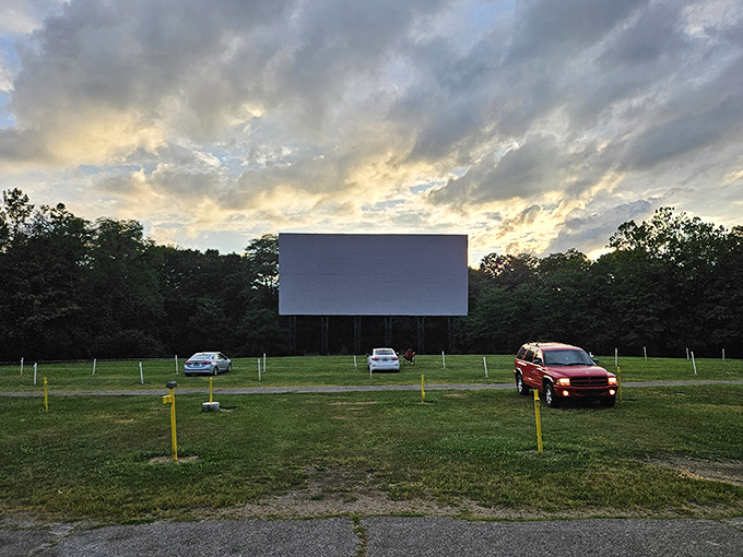 Twilight magic unfolds as cars gather before the massive white screen, nature providing the perfect backdrop for cinematic adventures.