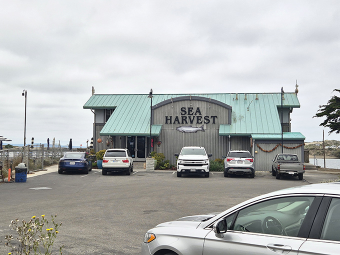 Sea Harvest keeps it simple on the outside, with a teal roof and weathered walls that hint at what really matters inside&mdash;seafood so fresh it speaks for itself.