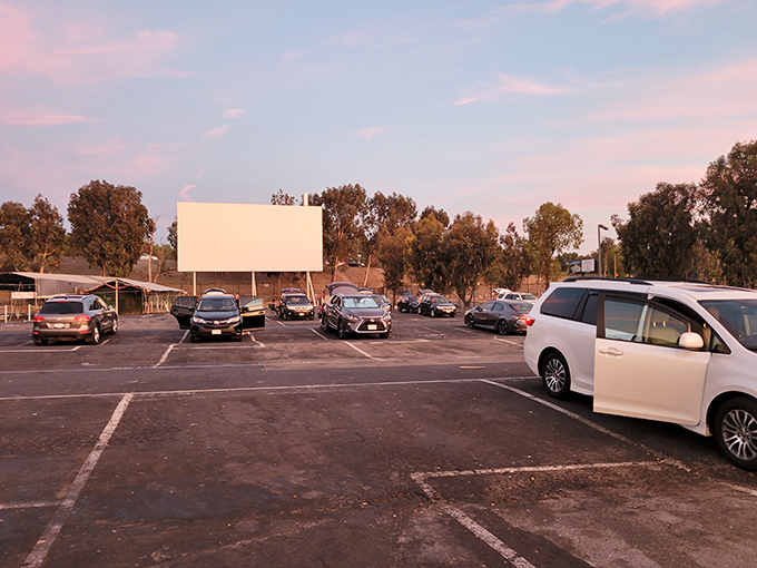 Cars line up in neat rows facing the massive white screen, where cinematic dreams will soon illuminate the twilight sky of San Jose.