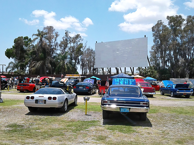 Classic cars lined up under Florida skies, waiting for showtime. The massive white screen stands ready, a canvas for dreams under the stars.