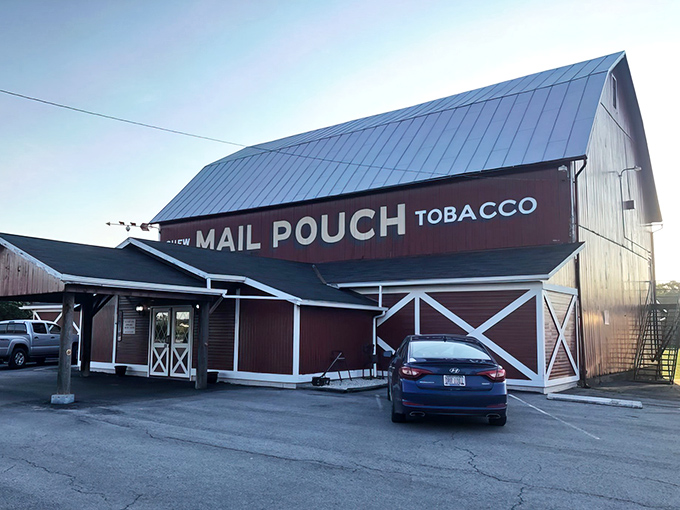 The iconic Mail Pouch Tobacco advertisement adorns this classic red barn, standing tall against the Ohio sky like a beacon for hungry travelers.