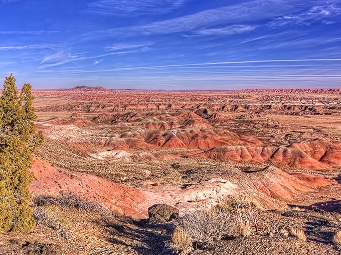The ultimate red carpet rolled out by Mother Nature herself. Standing here makes you feel like you've stumbled onto Mars without the space travel fees.