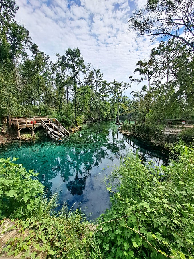 A wooden stairway invites visitors down to nature's own infinity pool, where crystal waters meet lush Florida greenery.