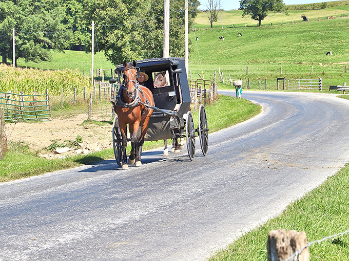 The quintessential Amish Country postcard moment. Notice how the buggy driver doesn't need GPS to navigate these winding roads&mdash;just generations of local knowledge.