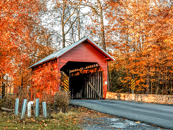 Fall's fiery palette creates nature's perfect frame for this crimson treasure. The bridge seems to whisper, "Slow down, you're not in a hurry anymore."