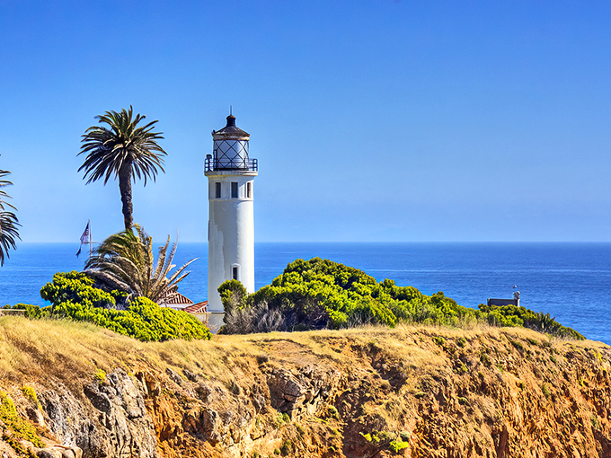 California's answer to Maine lighthouses stands tall against the Pacific blue, palm trees adding that quintessential West Coast flair.