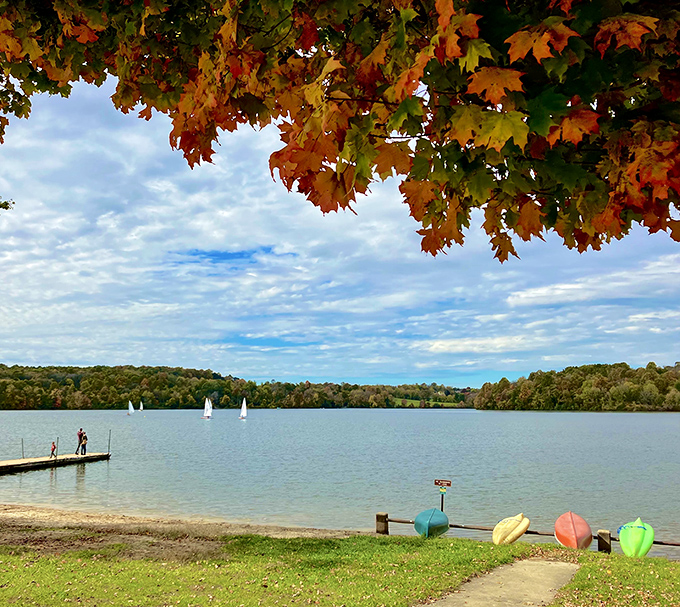 Nature's masterpiece on display at Marsh Creek Lake, where Pennsylvania's blue skies meet crystal waters in a symphony of tranquility.