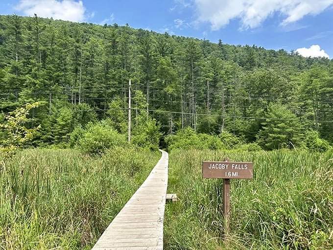 The welcoming boardwalk and sign mark the beginning of your adventure, like the opening credits to Pennsylvania's own natural blockbuster.