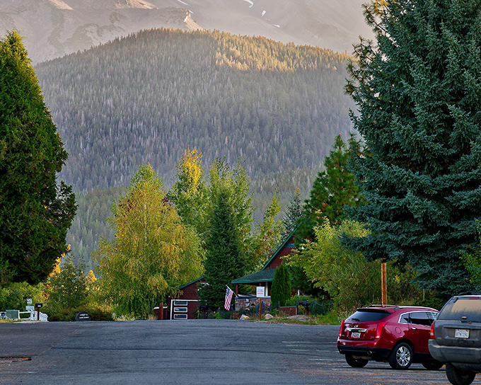 A neighborhood where "mountain view" isn't a real estate exaggeration but an understatement. Those trees aren't just decoration&mdash;they're nature's welcome committee.