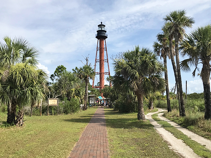 The iconic Anclote Key Lighthouse stands tall among swaying palms, a rusty-red sentinel that's been guiding mariners and Instagram feeds since 1887.