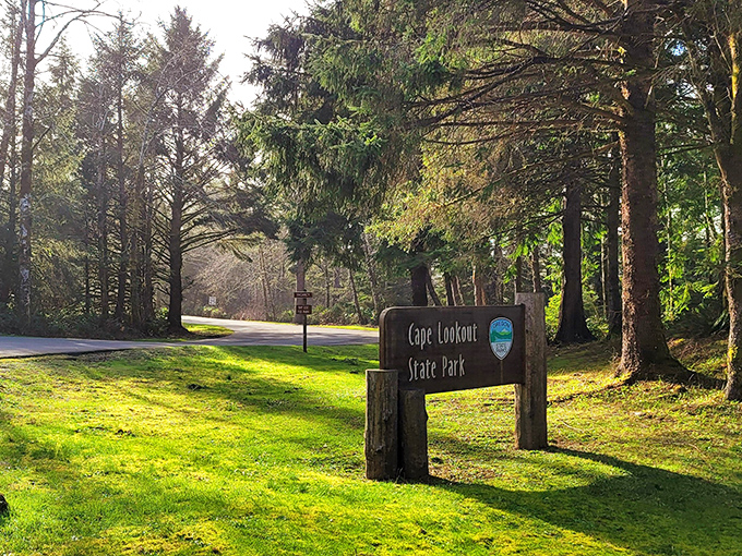 Welcome to paradise! The entrance to Cape Lookout State Park promises adventure with its sunlit forest path and iconic wooden sign.