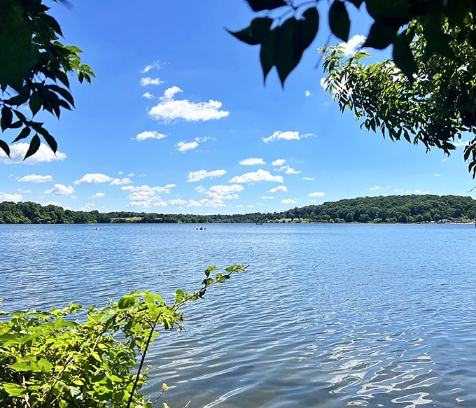 Nature's masterpiece on display at Marsh Creek Lake, where Pennsylvania's blue skies meet crystal waters in a symphony of tranquility.