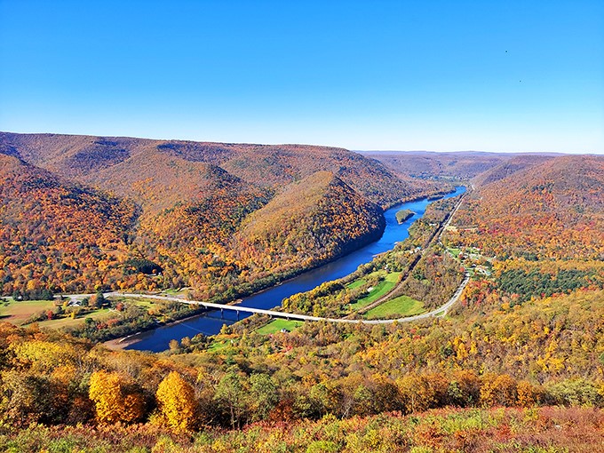 The West Branch Susquehanna River carves through autumn-painted mountains like nature's own masterpiece. Pennsylvania keeps secrets like this that rival New England's most Instagram-worthy vistas.