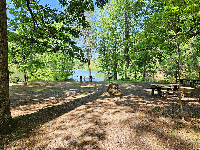 Nature's engineering marvel meets human craftsmanship at this historic dam, where rushing water creates a soundtrack for your afternoon wanderings.