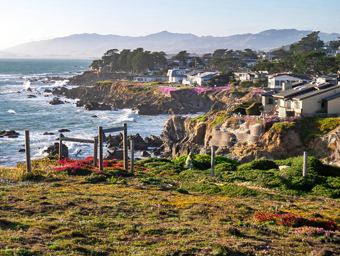 Coastal magic unfolds where the Santa Lucia Mountains meet the Pacific. Cambria's rugged shoreline looks like Mother Nature's own infinity pool.