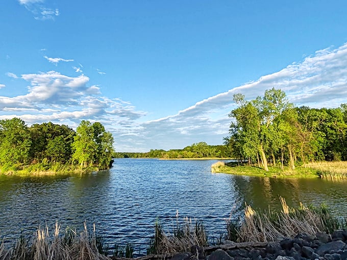 Mother Nature's masterpiece just minutes from suburban driveways&mdash;Busse Woods' tranquil waters reflect clouds that seem painted specifically for this scene.