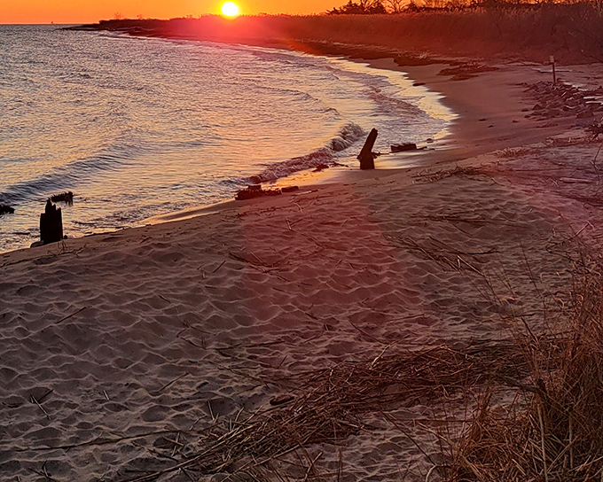 The iconic fishing pier stretches into Delaware Bay like an invitation to adventure, while gentle waves caress the sandy shore below.