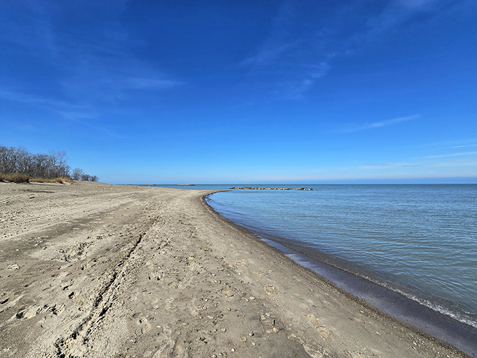 Miles of sandy shoreline await exploration, with Lake Erie's waves providing a soothing soundtrack that rivals any ocean beach meditation app.