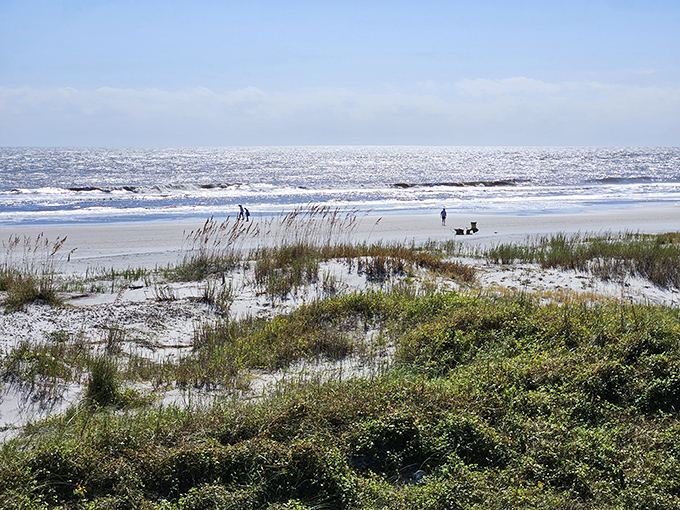 Where sea meets sky in a shimmering embrace. Folly Beach County Park's pristine shoreline invites visitors to leave footprints and take memories.