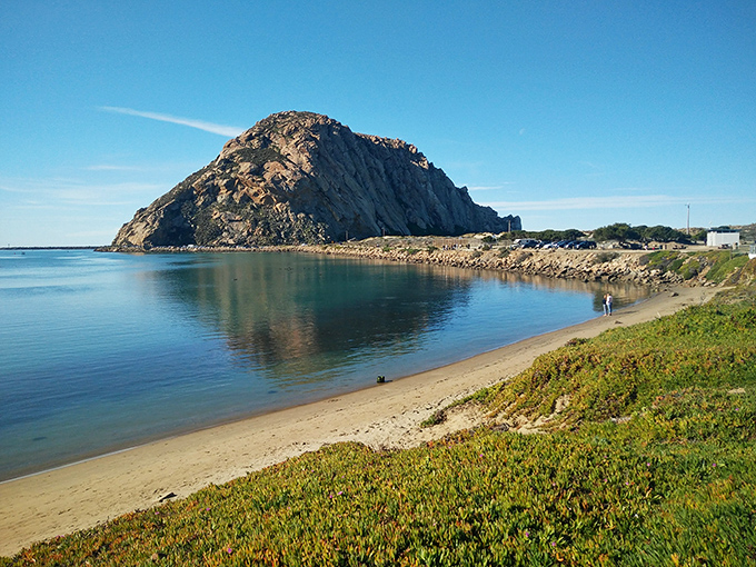 Morro Rock stands like nature's own monument to geological coolness, a 576-foot volcanic sentinel guarding the peaceful shoreline.