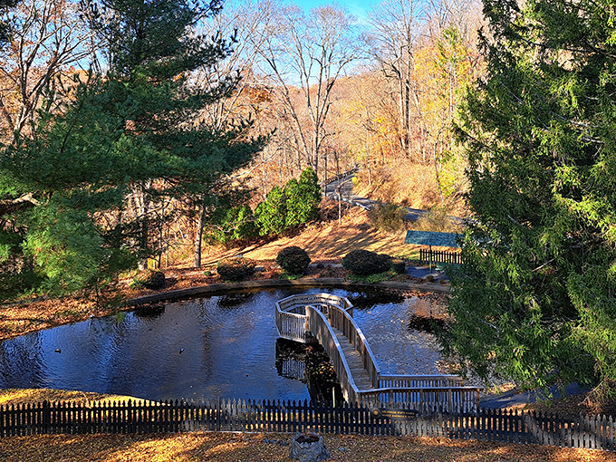 Autumn at Auburn Valley turns the whole place into nature's own fireworks display, minus the noise complaints from neighbors.
