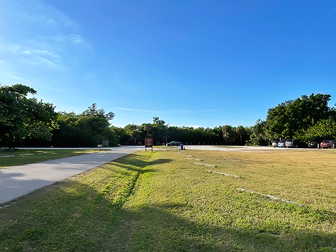 Welcome to paradise's parking lot &ndash; where your adventure begins with a promise of sandy shores and wildlife encounters just beyond those trees.
