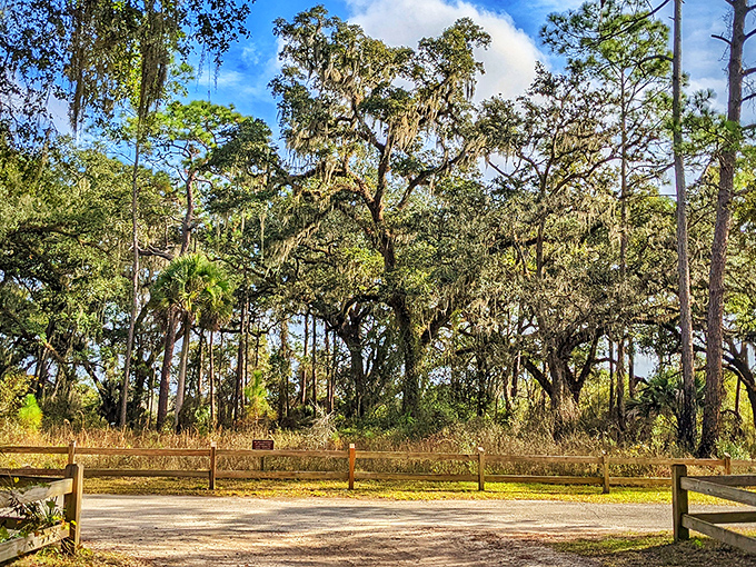 A peaceful stretch of Dade Battlefield welcomes visitors with towering oaks draped in Spanish moss. Nature&rsquo;s calm and timeless beauty make this a perfect place to pause and take it all in.