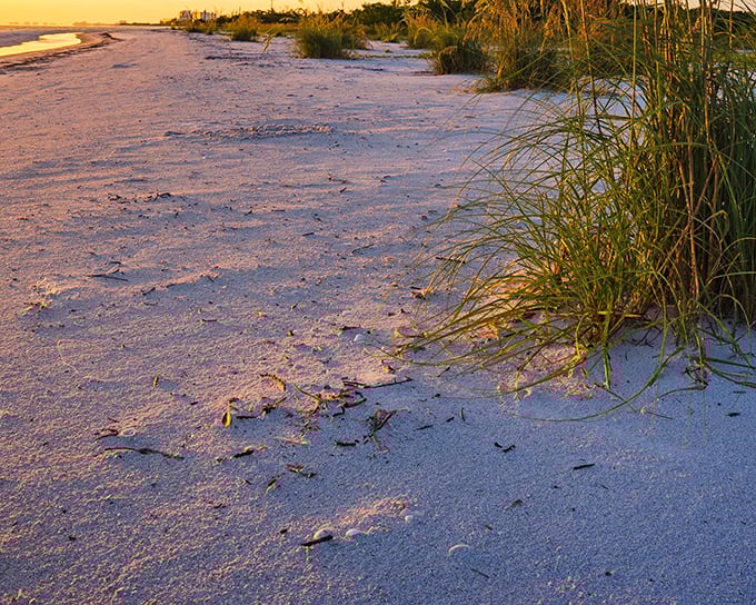 Paradise found: Golden light spills across the sand and sea grass, turning this hidden Florida beach into a postcard-worthy escape.