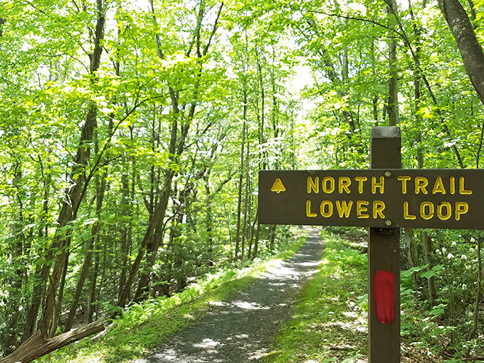 The North Trail beckons with its verdant canopy, like nature's own welcome mat inviting you to discover what lies beyond the bend.