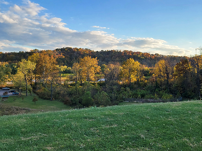 Fall's paintbrush transforms Strouds Run into a masterpiece of amber and gold. Mother Nature showing off her seasonal wardrobe change.