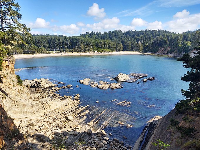 On the Oregon Coast, towering evergreens create a serene spot for adventure and relaxation.