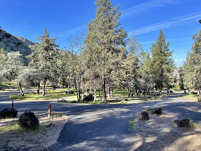 Marina life at its finest - where boats gather like old friends at a neighborhood barbecue, with canyon walls providing the ultimate backdrop.