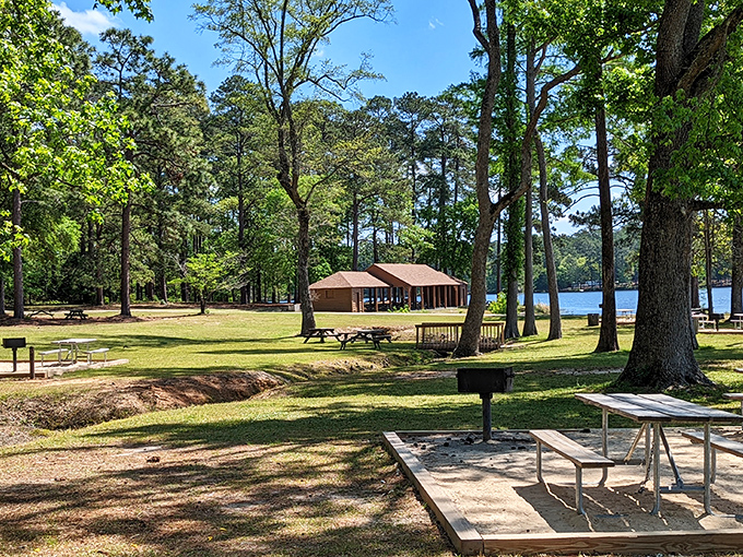 The boardwalk at Cheraw stretches into the blue beyond, like nature's red carpet inviting you to the main event.